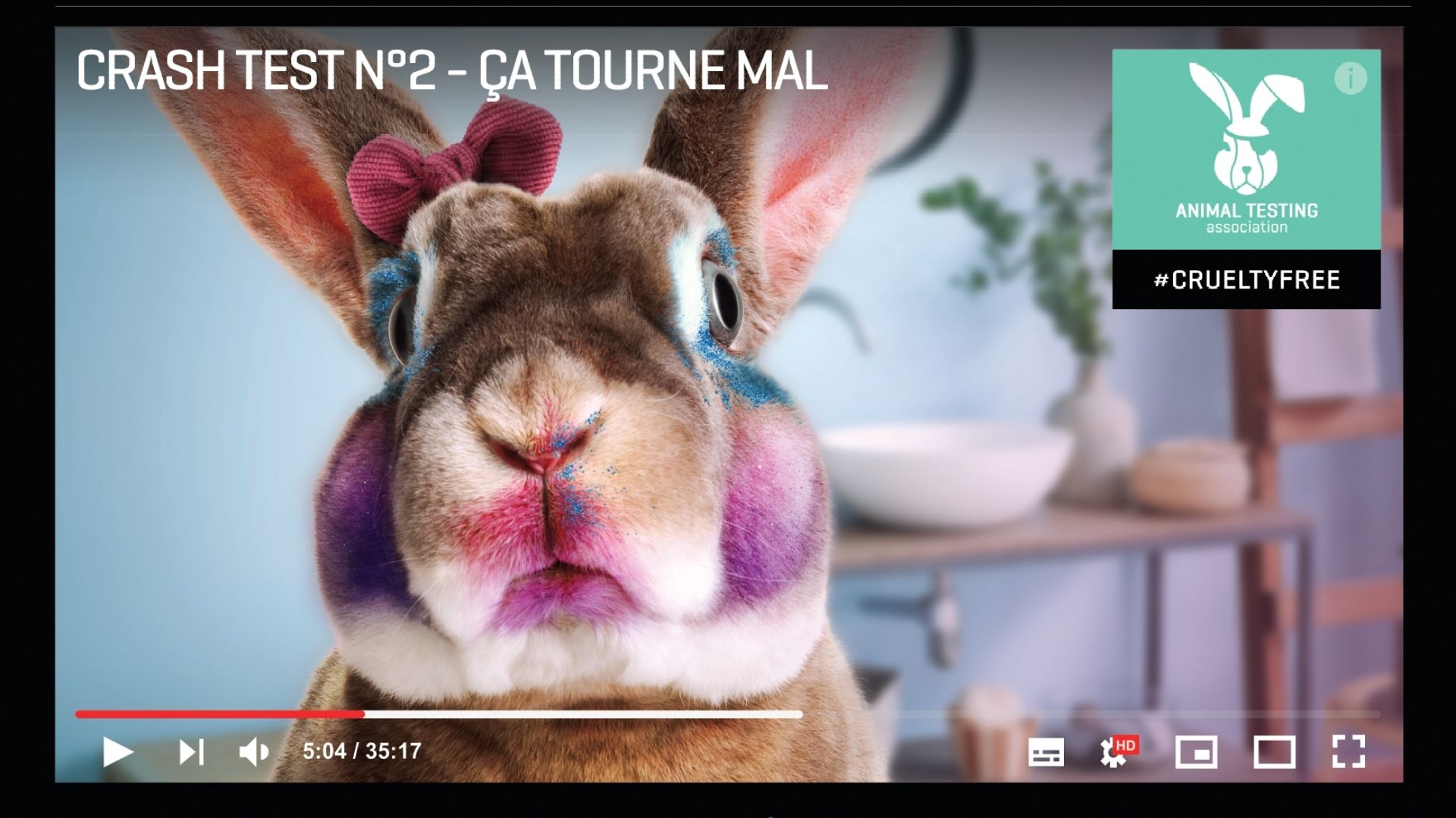 Animal Testing dénonce les expériences sur les animaux