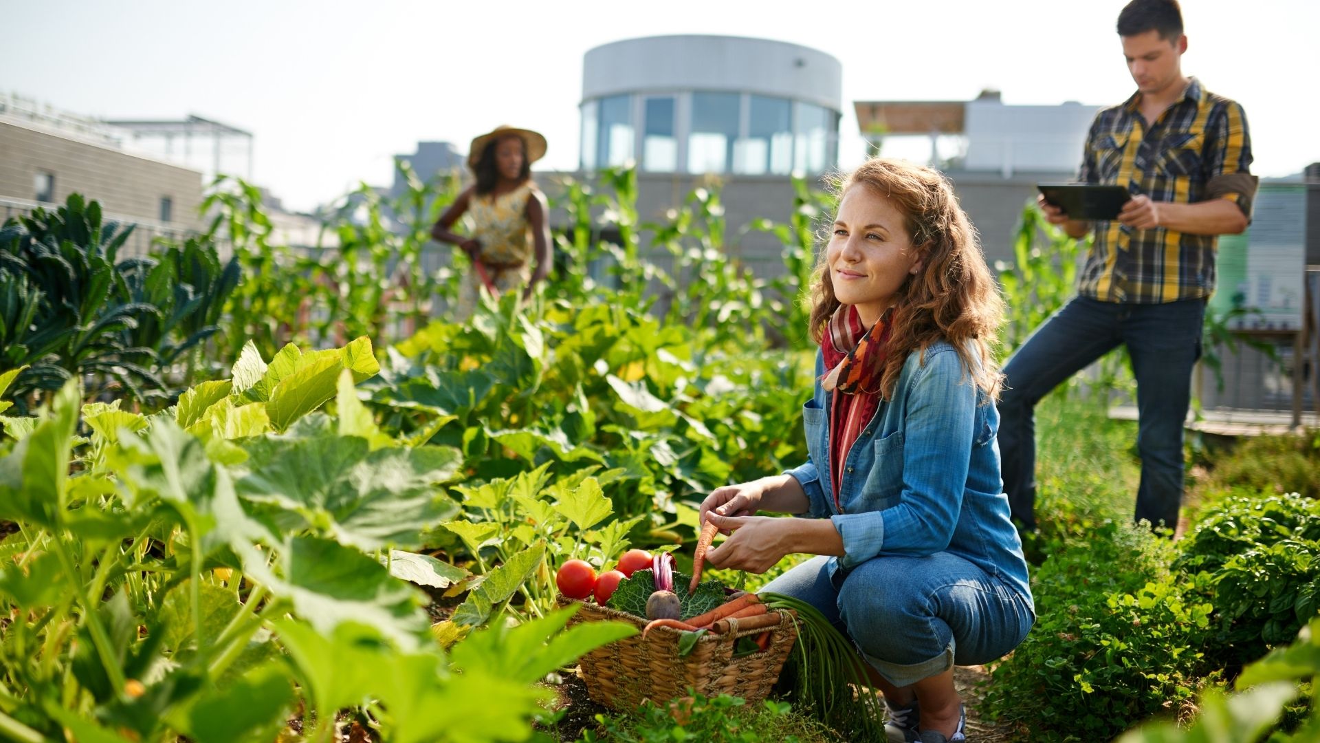 ITK, solution d'agri-intelligence, lève 10 millions d’euros